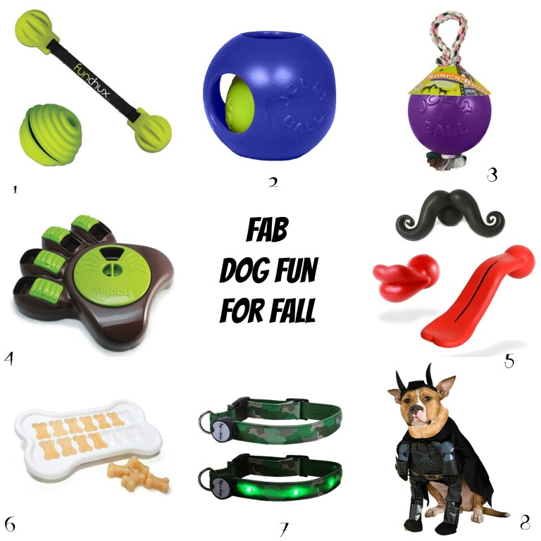 8 Fab Dog Products For Fall - My Brown Newfies
