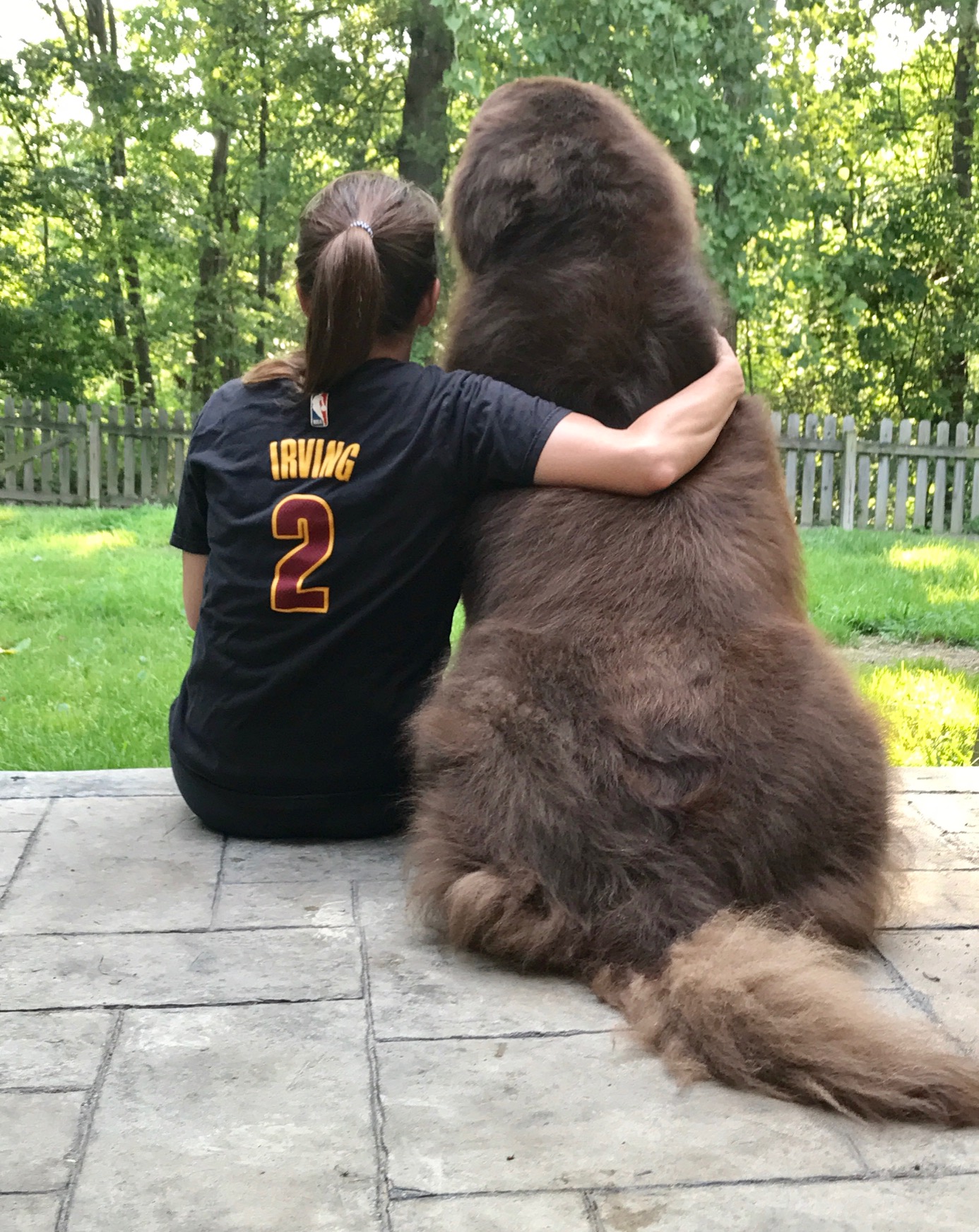 People Who Talk To Their Newfoundlands Might Be Smarter Than Those Who ...