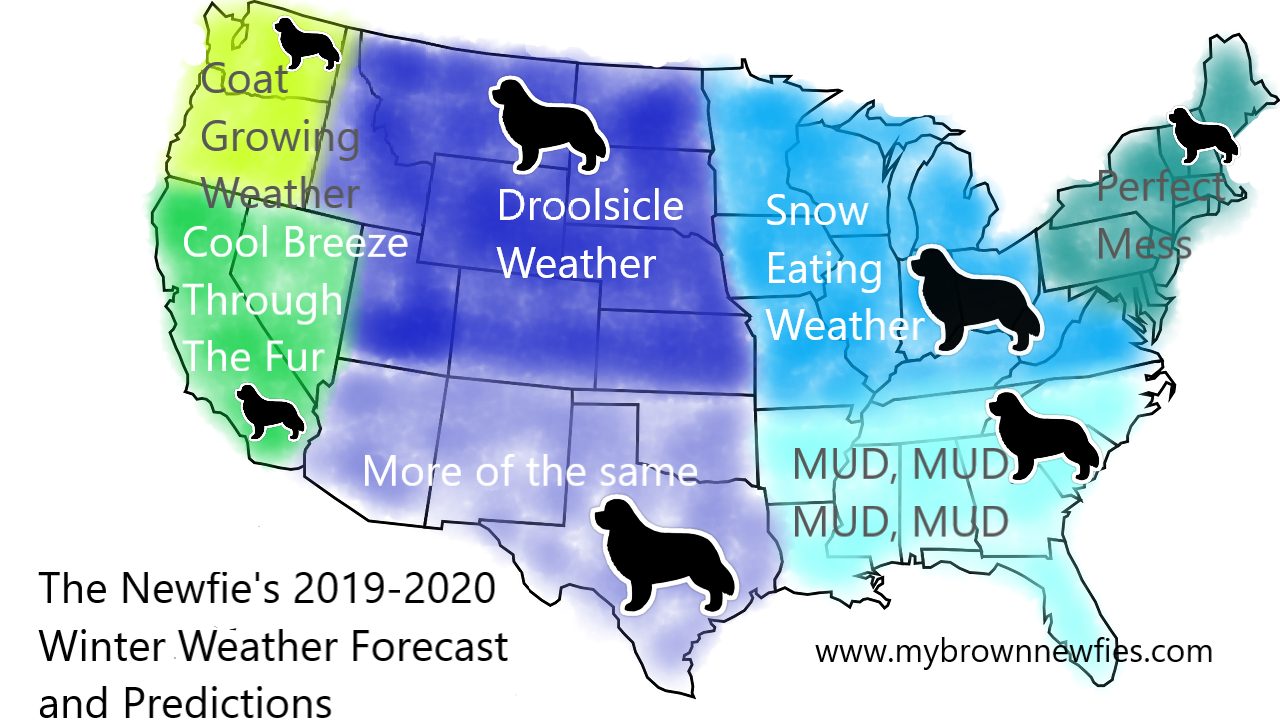 The Newfie's 2019-2020 Winter Forecast and Predictions - My Brown Newfies