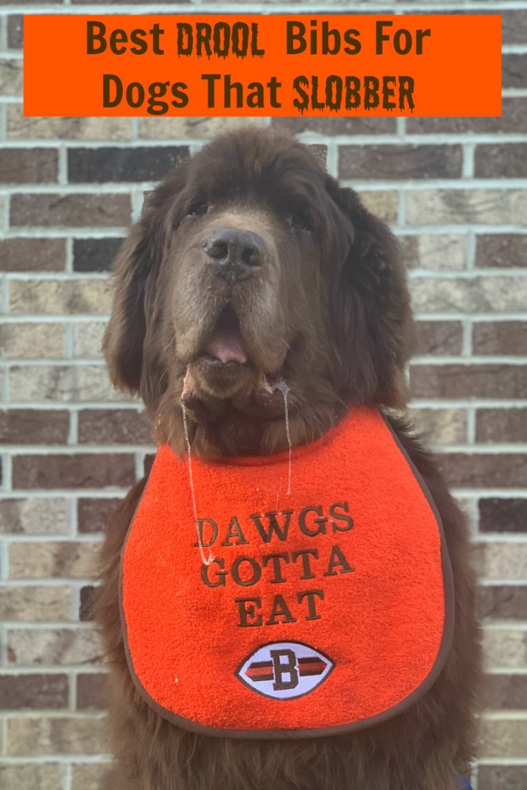 Best Drool Bibs For Dogs That Slobber - My Brown Newfies