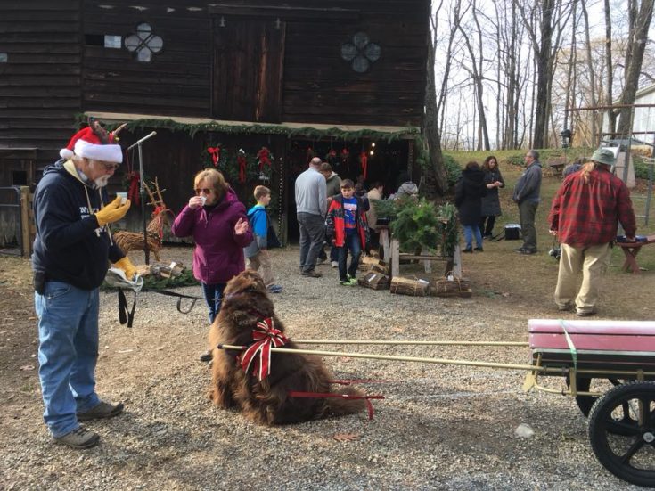 2019 Newfoundland Dog Christmas Tree Pull List - My Brown Newfies