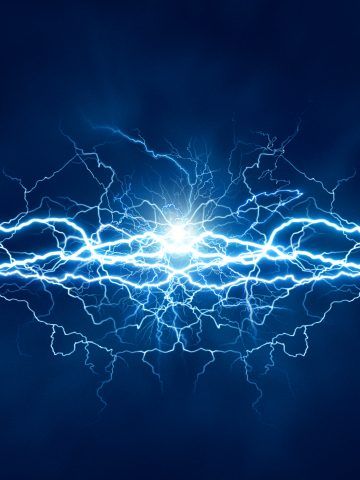 4 Ways To Reduce Static Electricity In Your Dog's Fur - My Brown Newfies