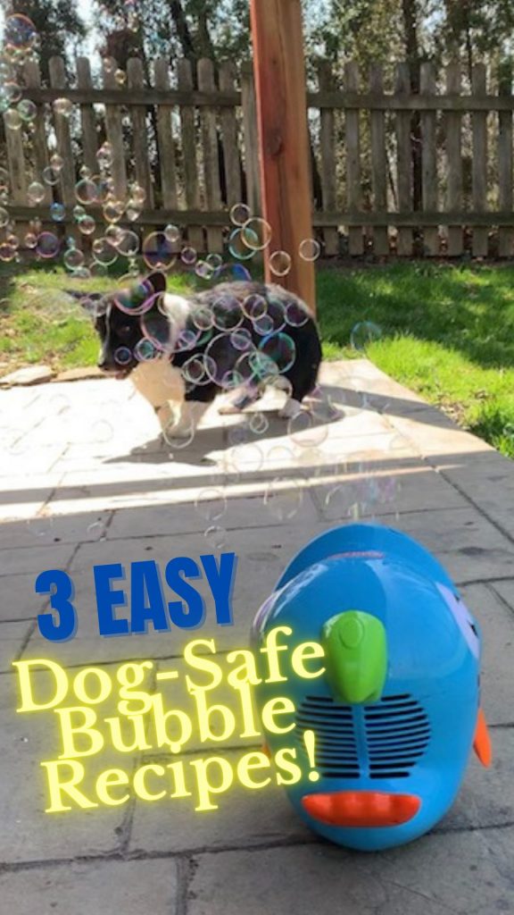 How To Make Dog Safe Bubbles: The 3 Best Homemade Dog Bubble Recipes ...