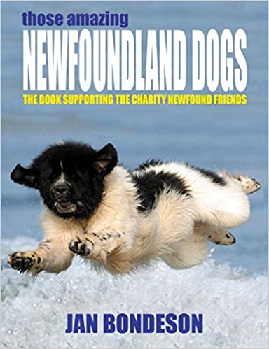 25 Books That Every Newfoundland Owner Should Have - My Brown Newfies