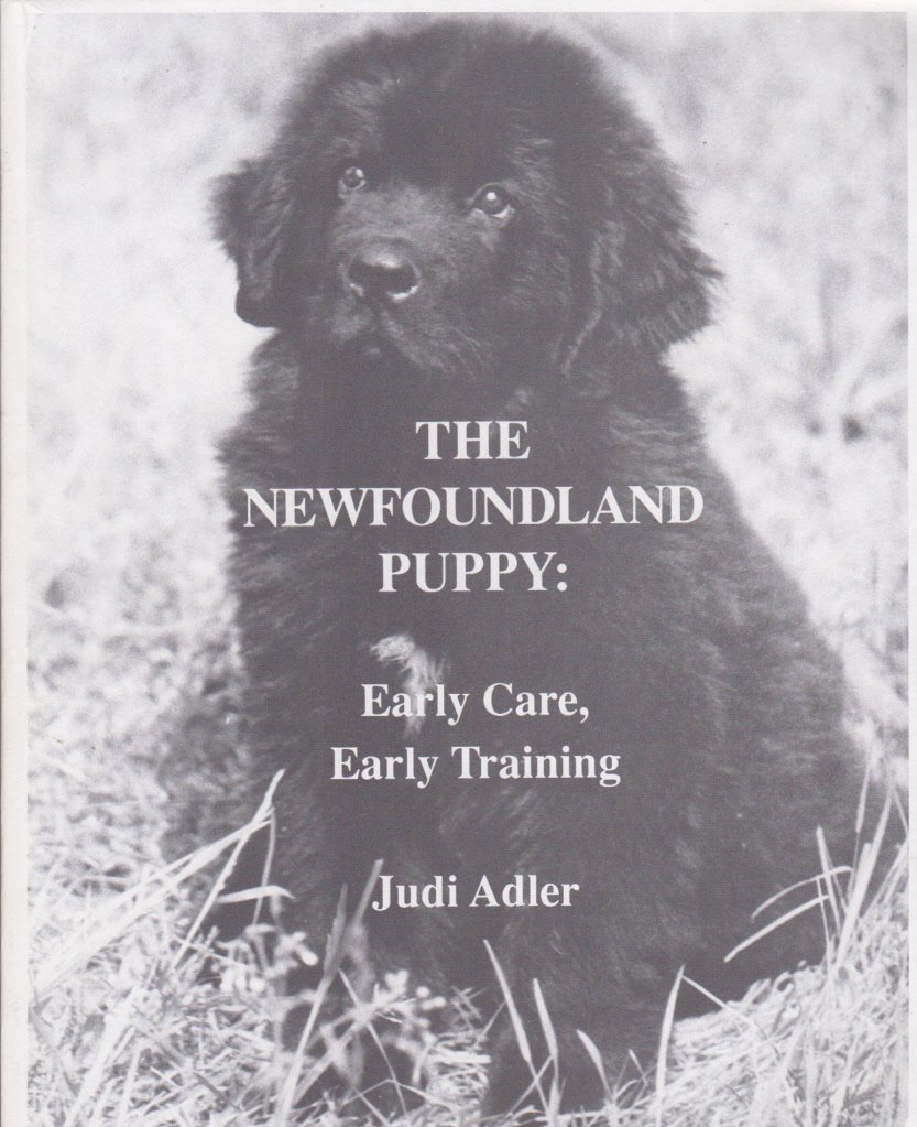 25 Books That Every Newfoundland Owner Should Have - My Brown Newfies
