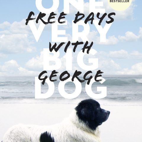 25 Books That Every Newfoundland Owner Should Have - My Brown Newfies