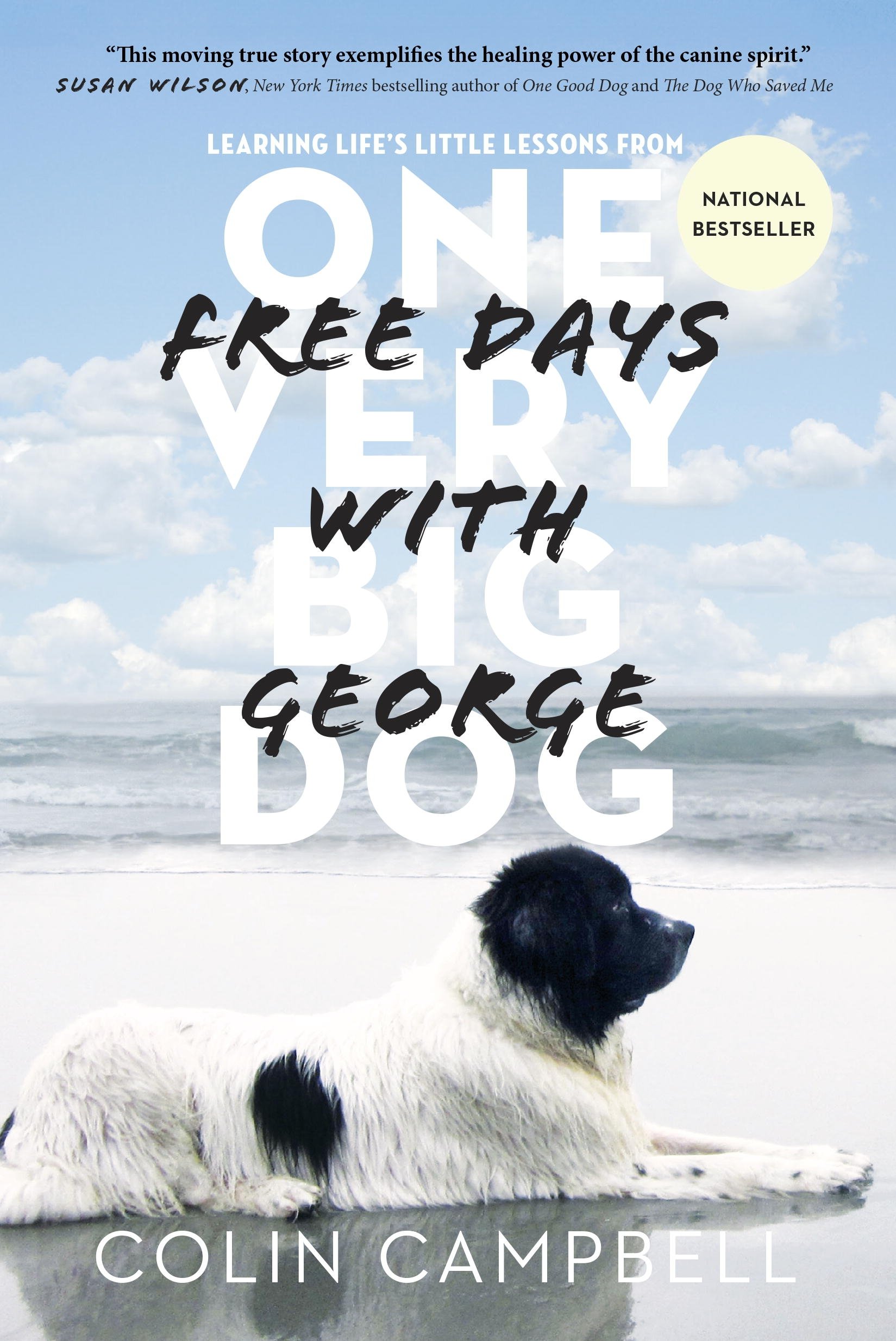 25 Books That Every Newfoundland Owner Should Have - My Brown Newfies