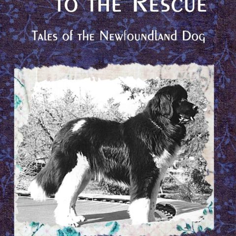 25 Books That Every Newfoundland Owner Should Have - My Brown Newfies