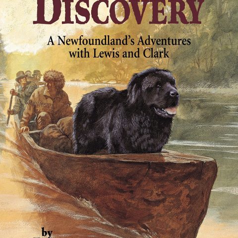 25 Books That Every Newfoundland Owner Should Have - My Brown Newfies