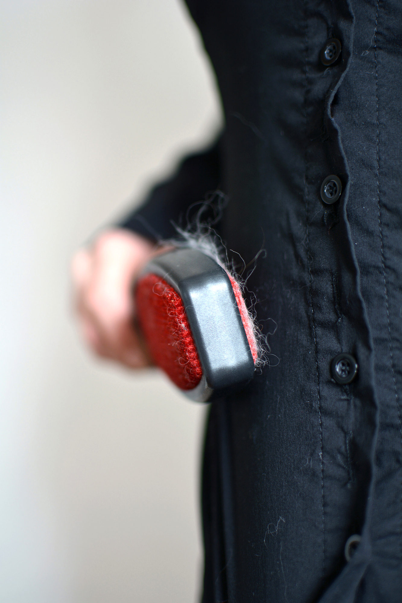 The Easiest Ways To Remove Dog Hair From Your Clothes Quick - My Brown ...