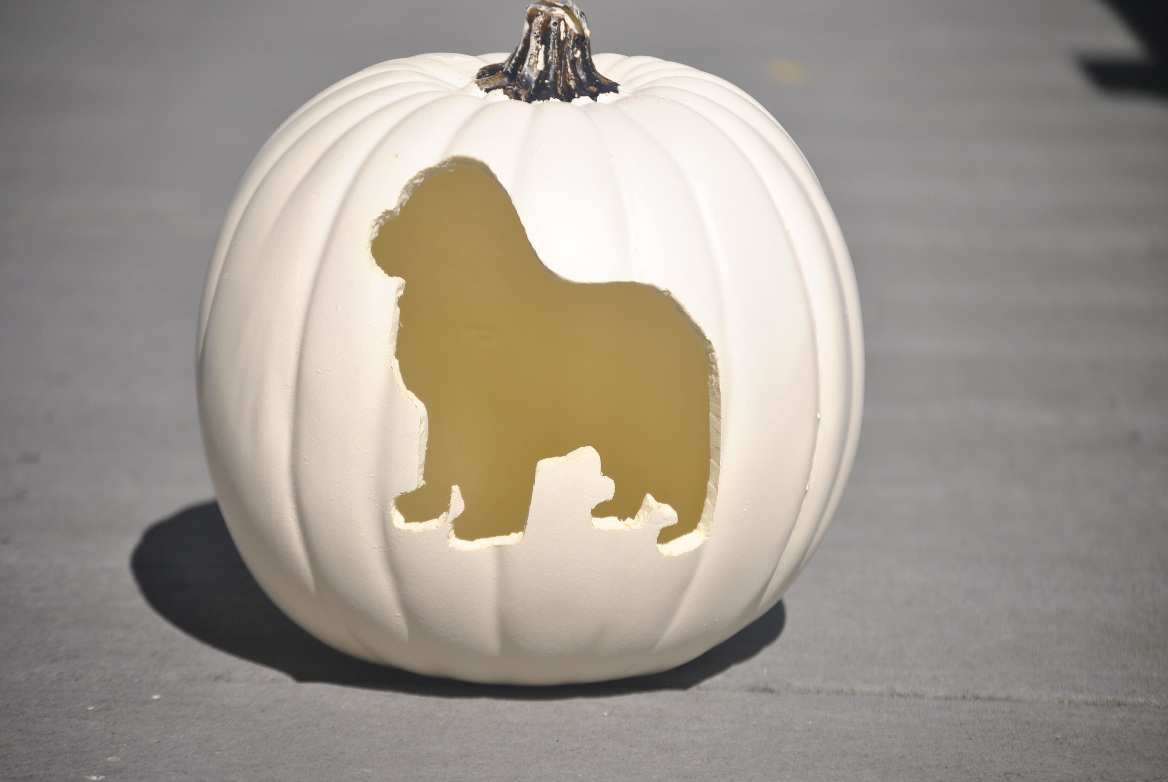 Free Dog Pumpkin Carving Stencil Patterns For Adults + Kids - My Brown ...