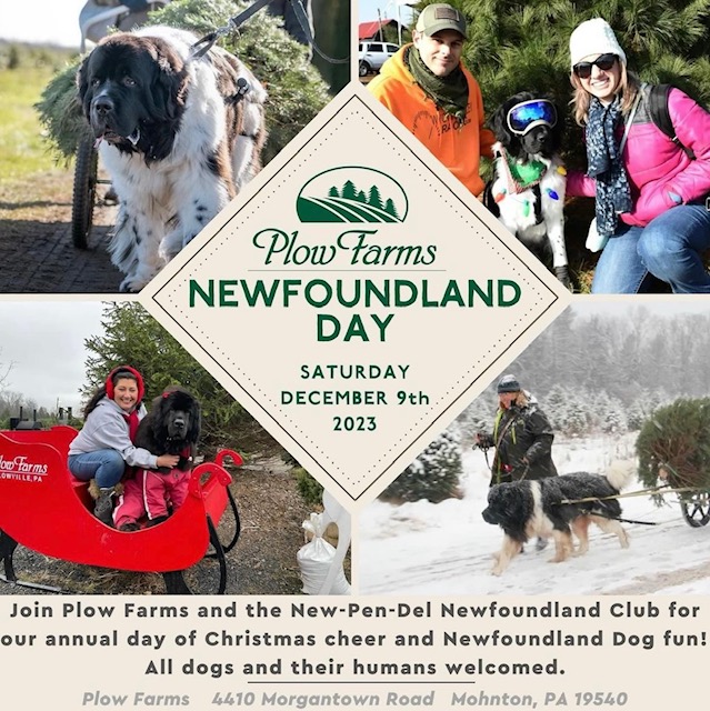 2023 Newfoundland Dog Christmas Tree Pull List - My Brown Newfies