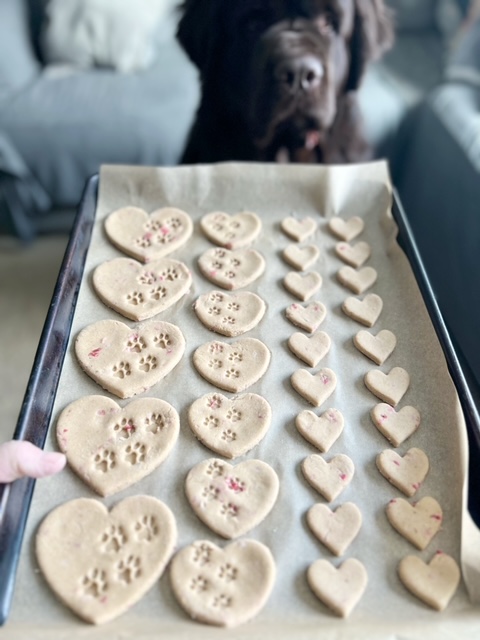 Homemade Strawberry Banana Dog Cookies - My Brown Newfies