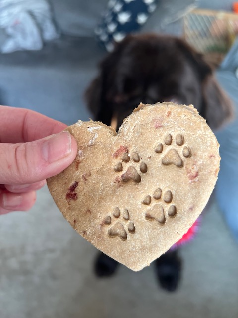 Homemade Strawberry Banana Dog Cookies - My Brown Newfies